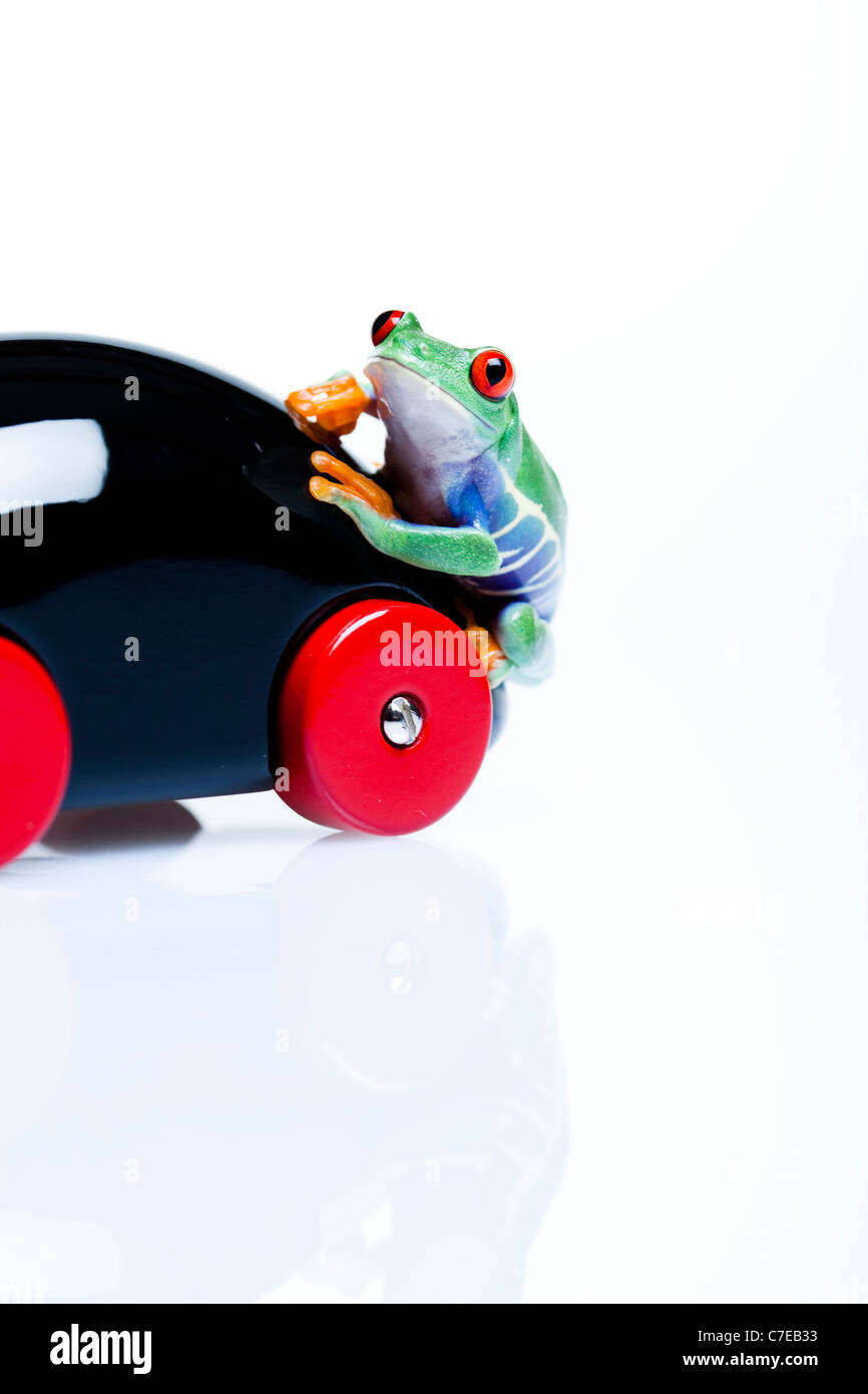 Toy car and frog Stock Photo - Alamy