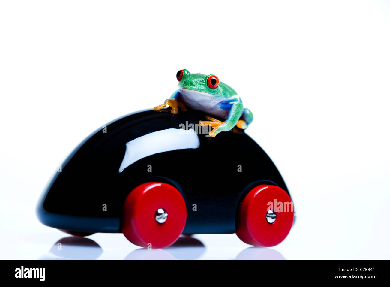 Frog on wooden toy car Stock Photo - Alamy