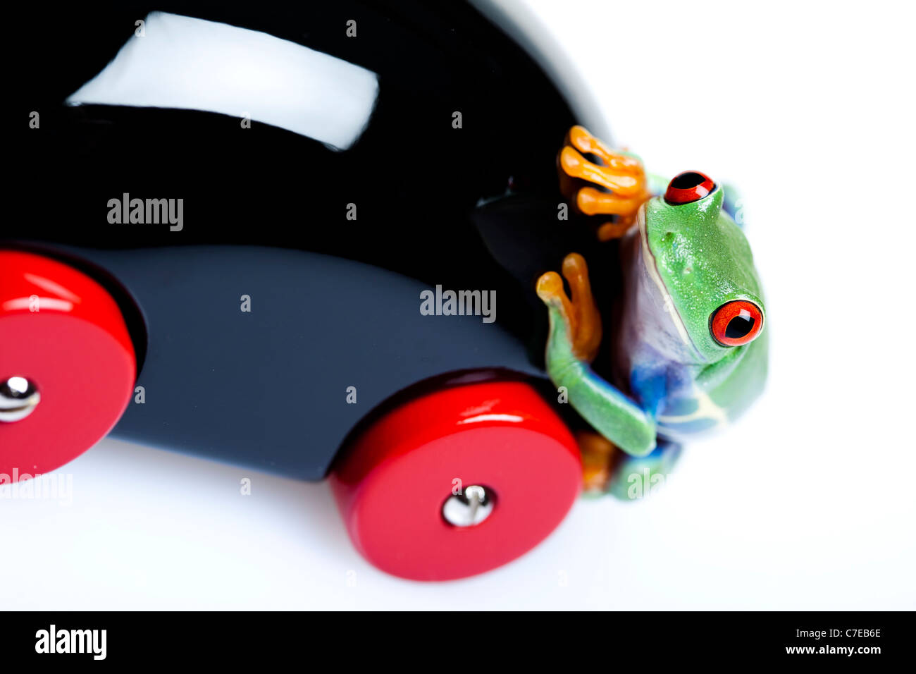 Frog and car Stock Photo - Alamy