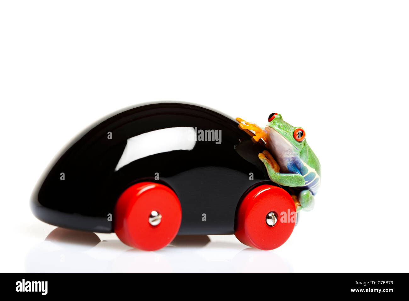 Green Frog driving! Stock Photo - Alamy