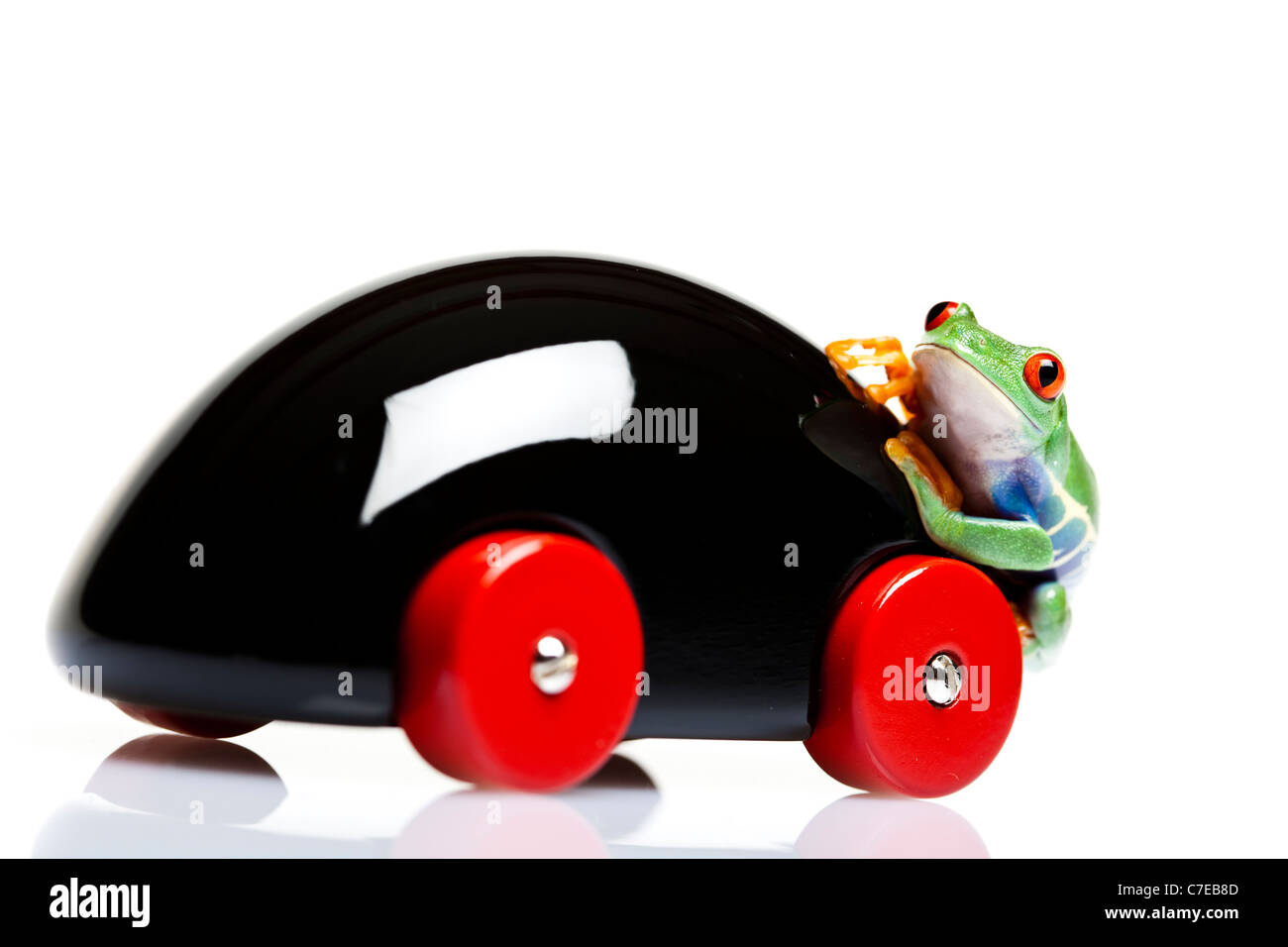 Green Frog driving! Stock Photo - Alamy