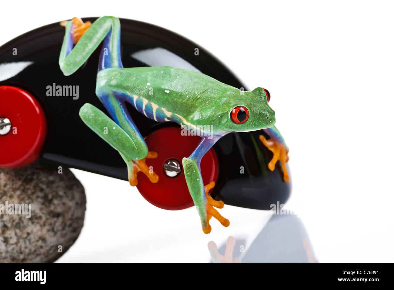 Car toy and crazy frog Stock Photo - Alamy