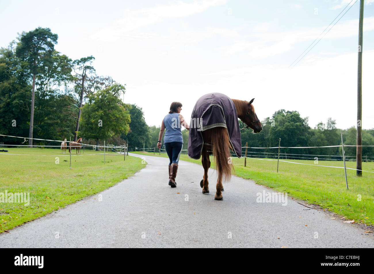 Walking with horse Stock Photo - Alamy