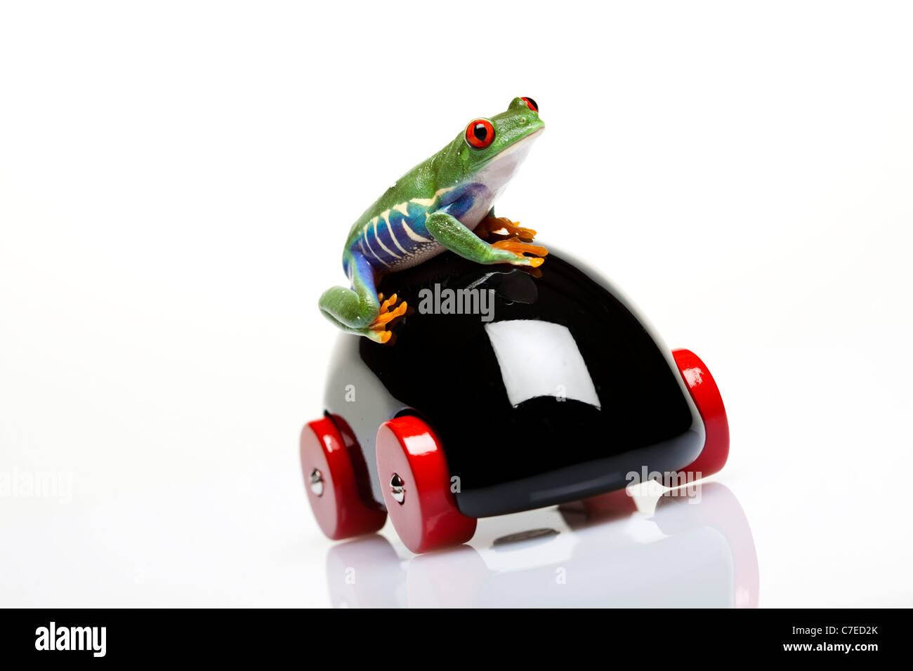 Green Frog driving! Stock Photo - Alamy