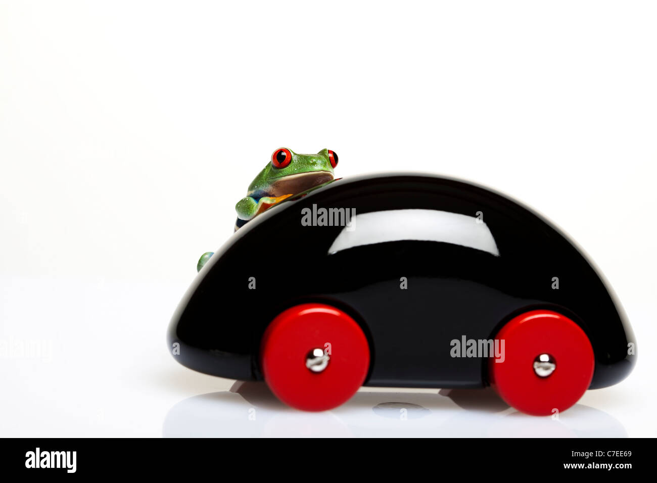 Frog and car Stock Photo - Alamy