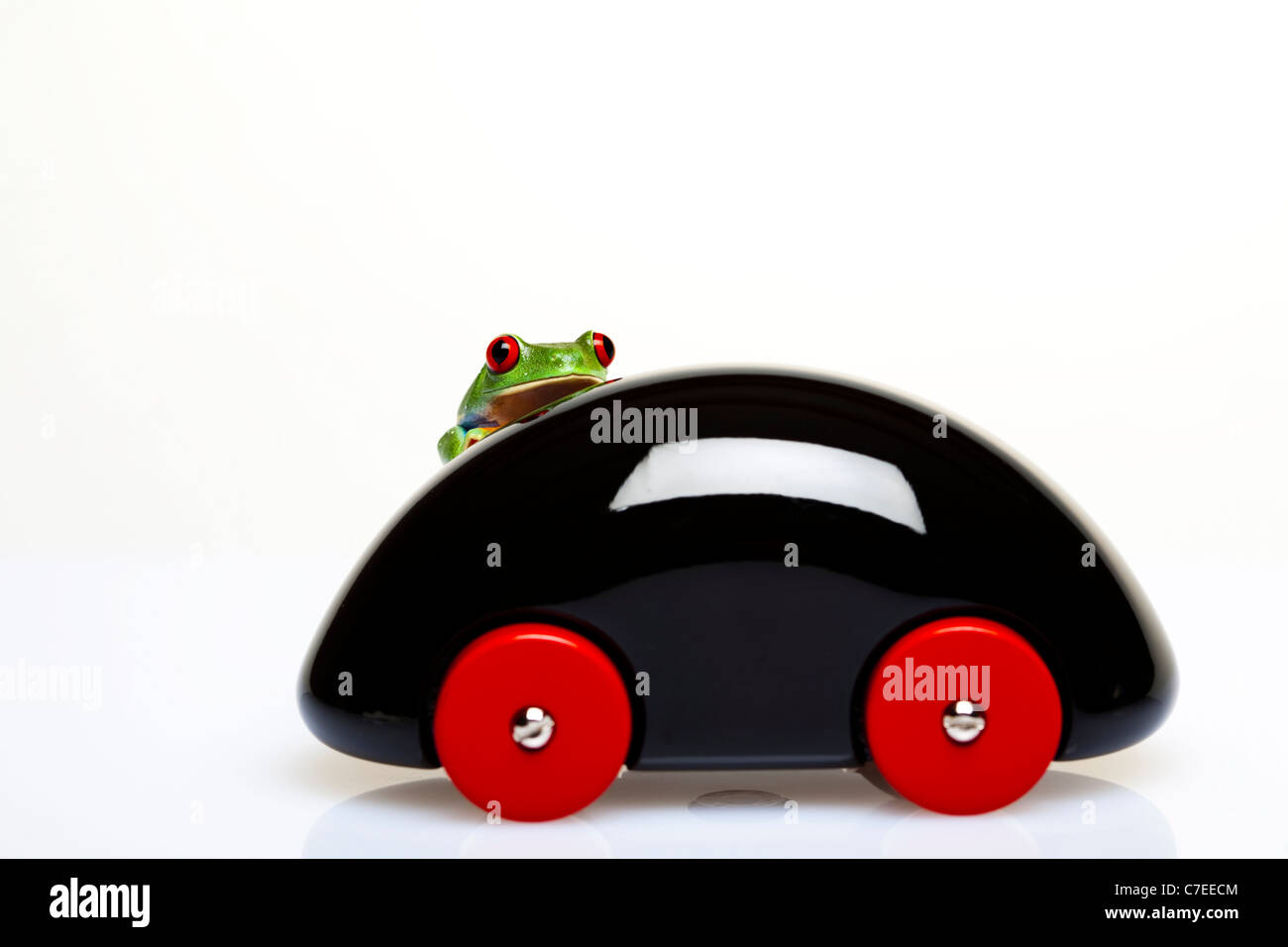 Green Frog driving! Stock Photo - Alamy