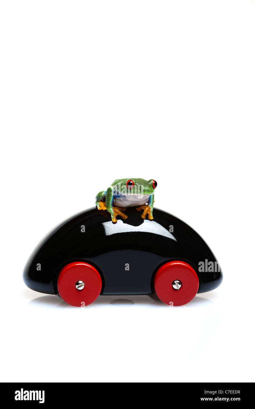 Green Frog driving! Stock Photo - Alamy