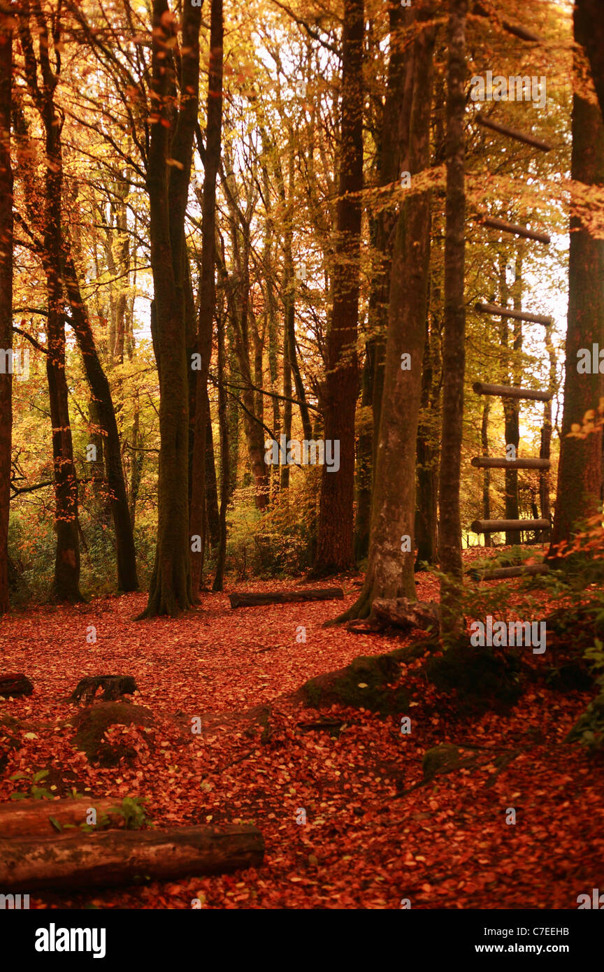 Manaton devon hi-res stock photography and images - Alamy