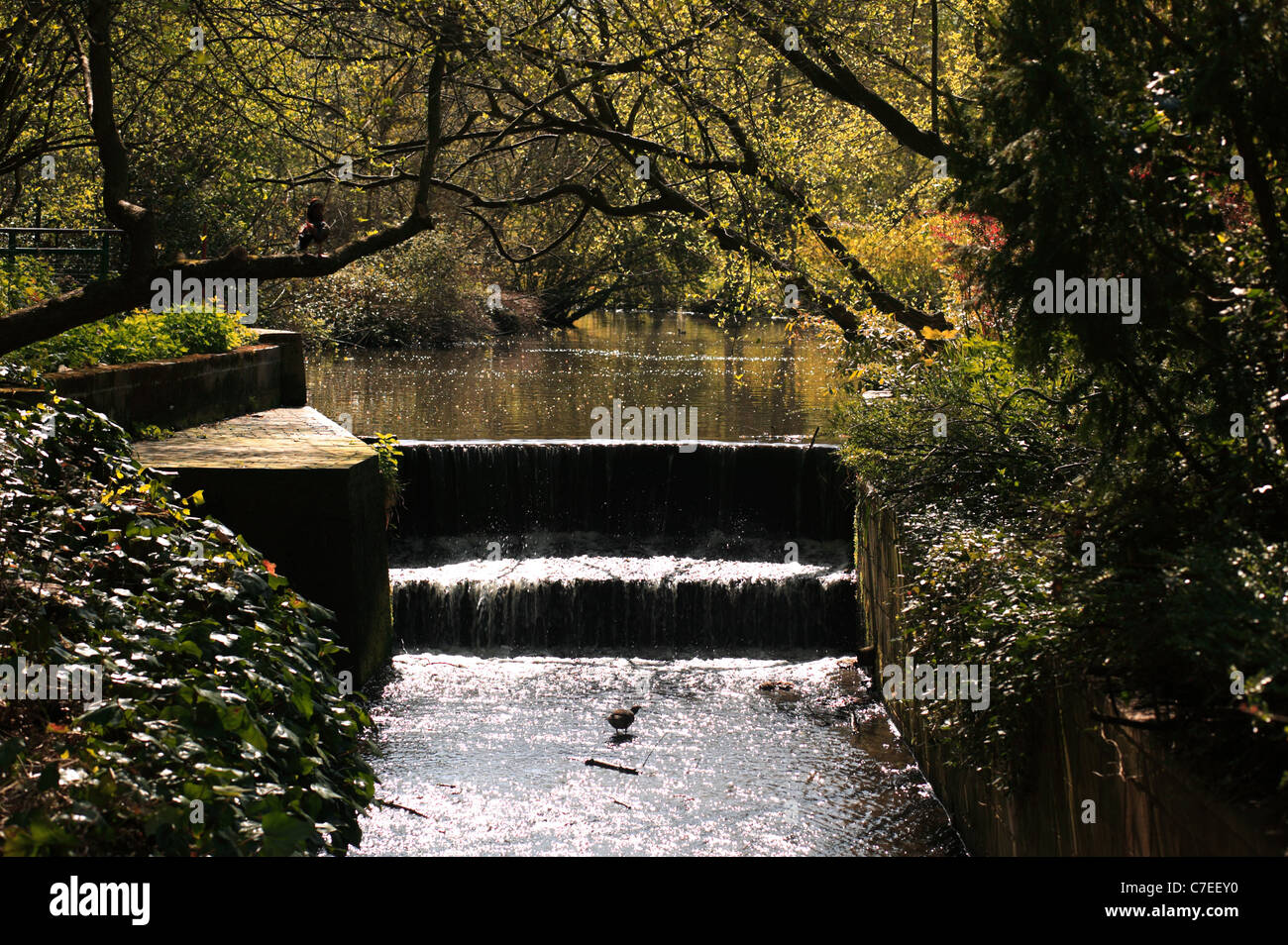 Beckenham park hi-res stock photography and images - Alamy