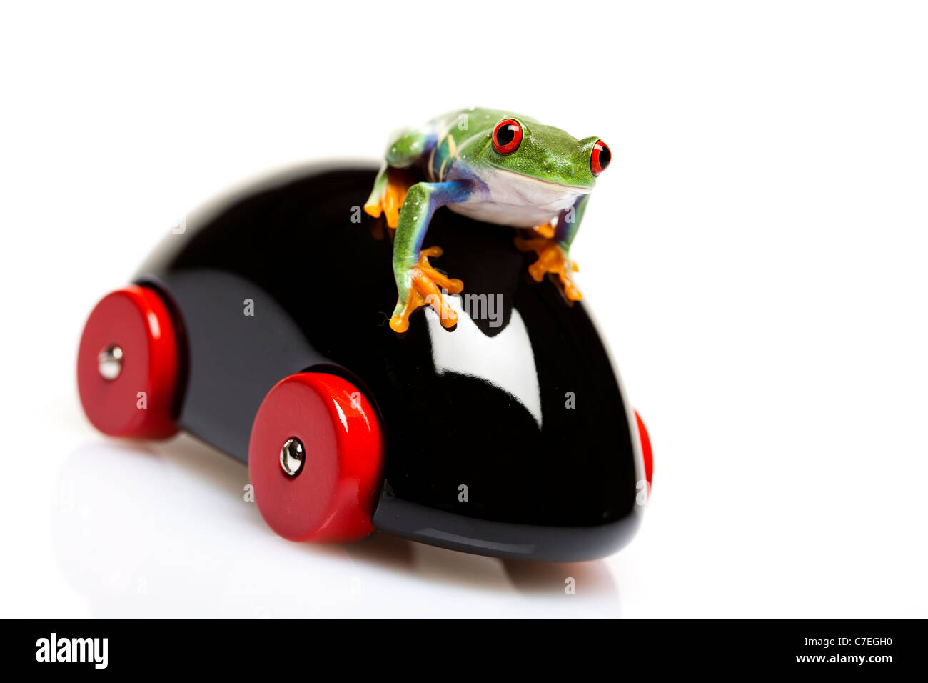 Frog in a car Stock Photo - Alamy