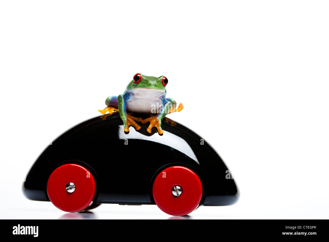 Toy car and frog Stock Photo - Alamy