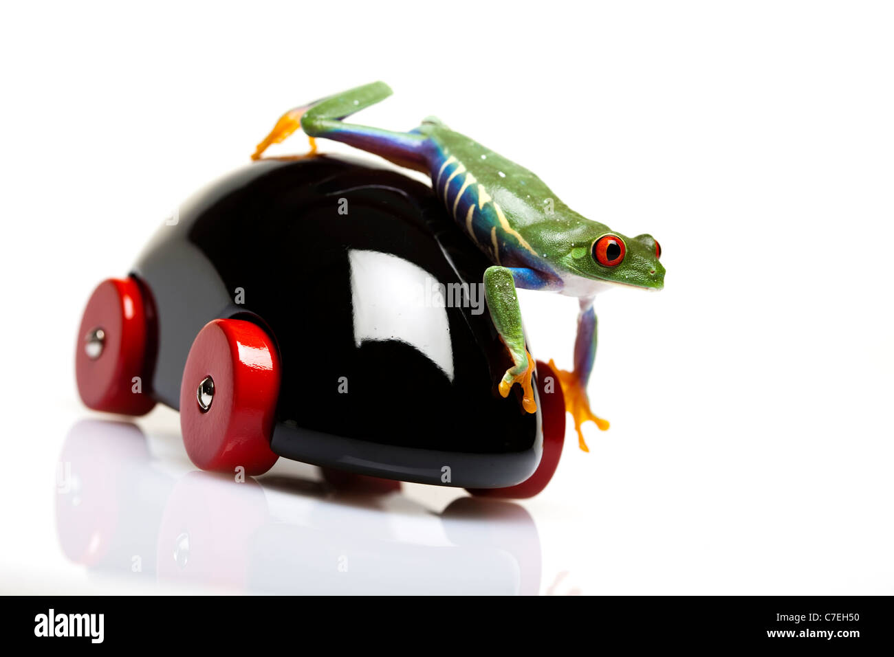 Toy car and frog Stock Photo - Alamy