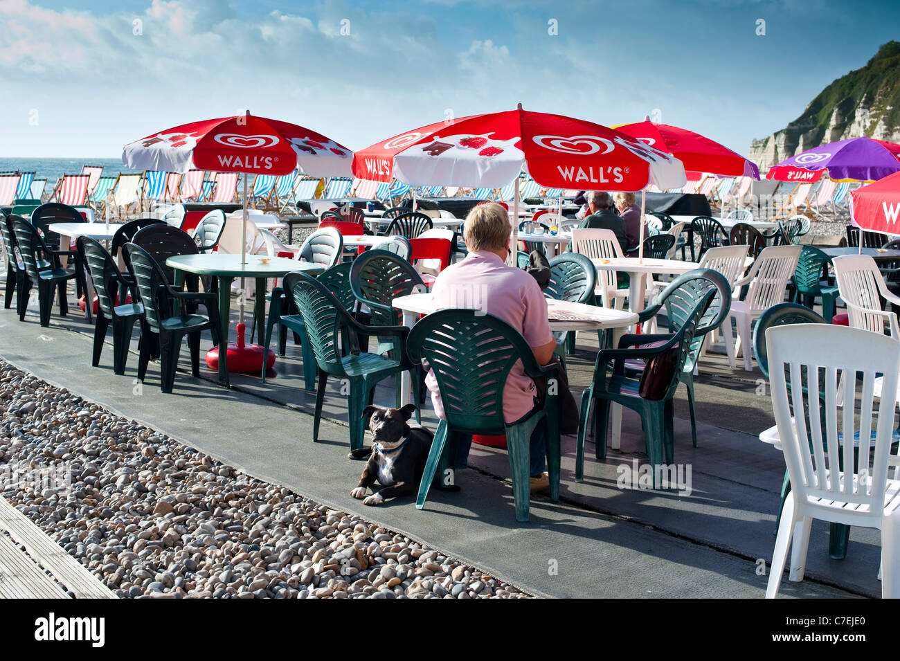 Man with dog at beach cafe Beer Devon England Stock Photo - Alamy