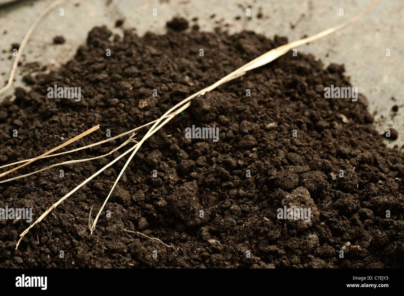 Propitious hi-res stock photography and images - Alamy