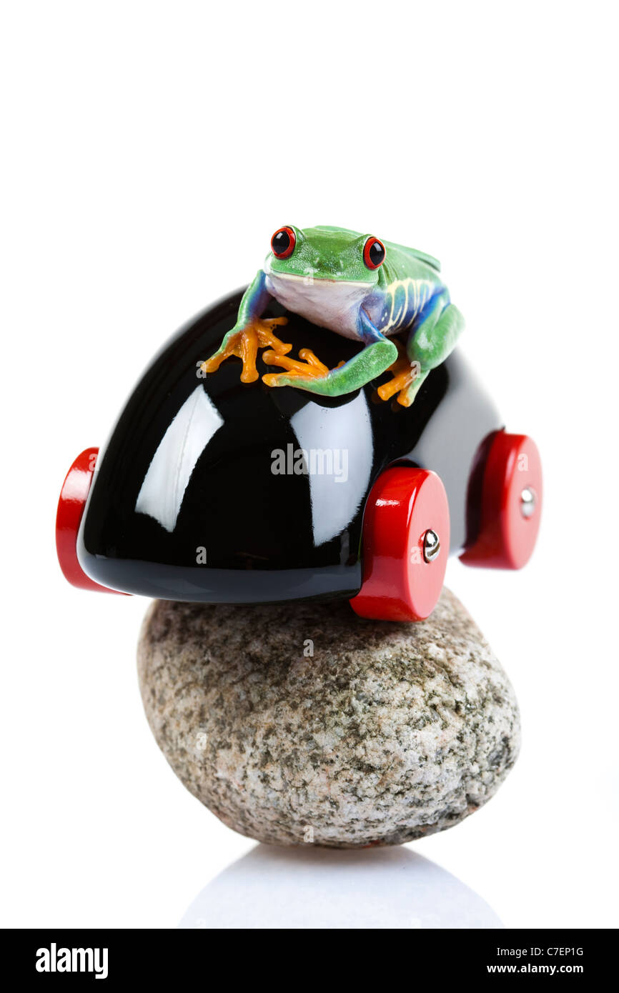 Car toy and crazy frog Stock Photo - Alamy