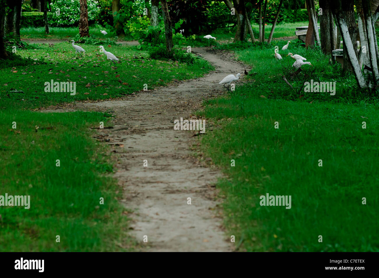 Modern India Living Style at -Salt Lake Park walking path -common ...