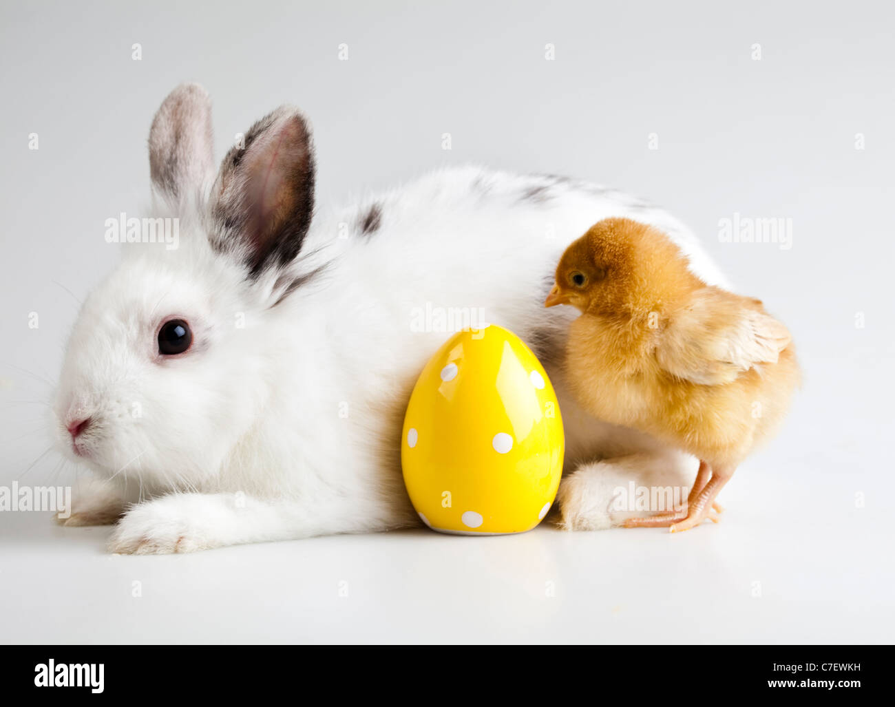 Easter Chick and bunny on table Stock Photo - Alamy