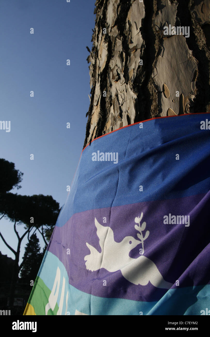 white peace dove on peace flag by tree outdoors in sun Stock Photo - Alamy