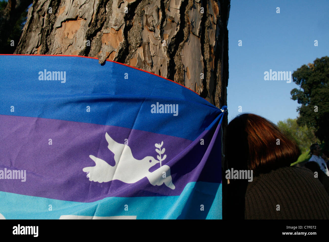 white peace dove on peace flag by tree outdoors in sun Stock Photo - Alamy