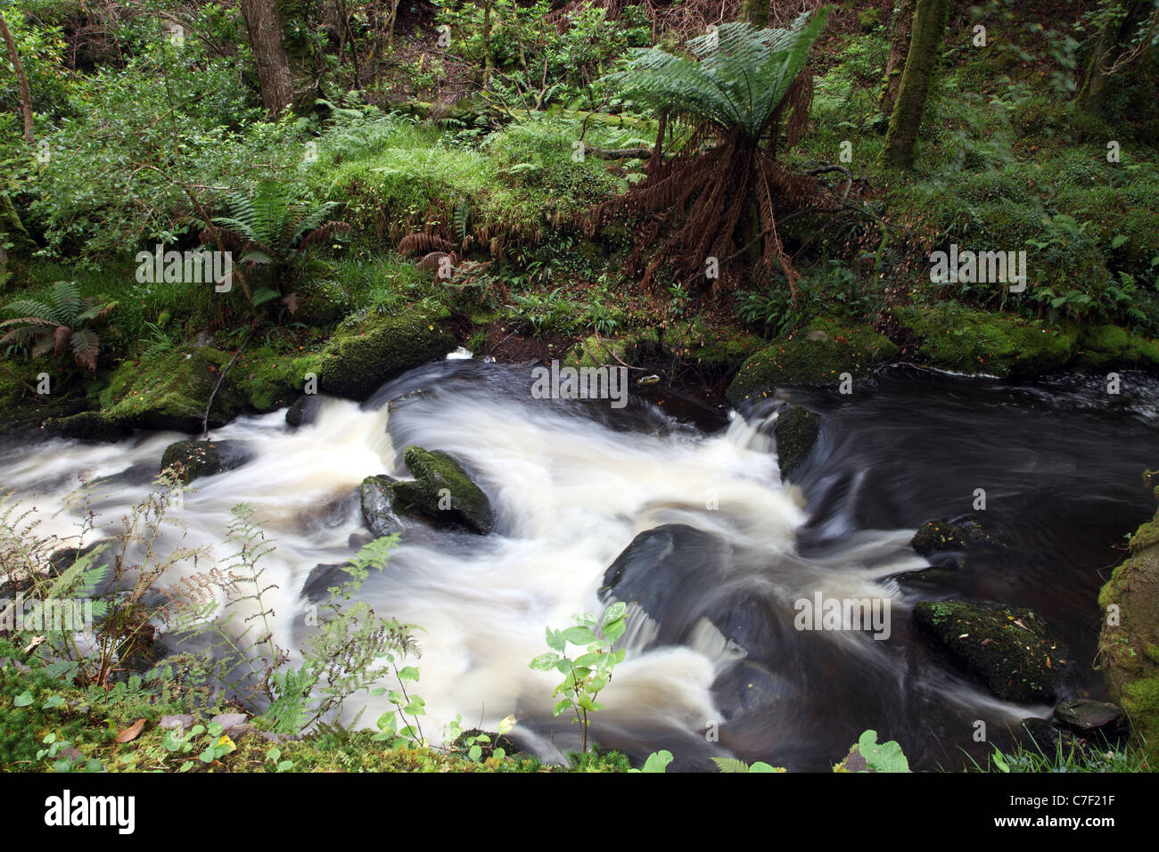 Kells bay gardens rapids hi-res stock photography and images - Alamy