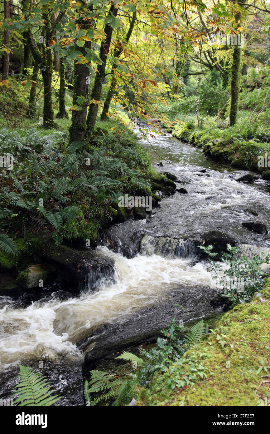 Kells bay gardens hi-res stock photography and images - Alamy