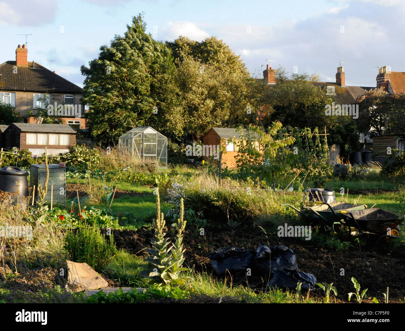 Allotment garden houses hi-res stock photography and images - Alamy