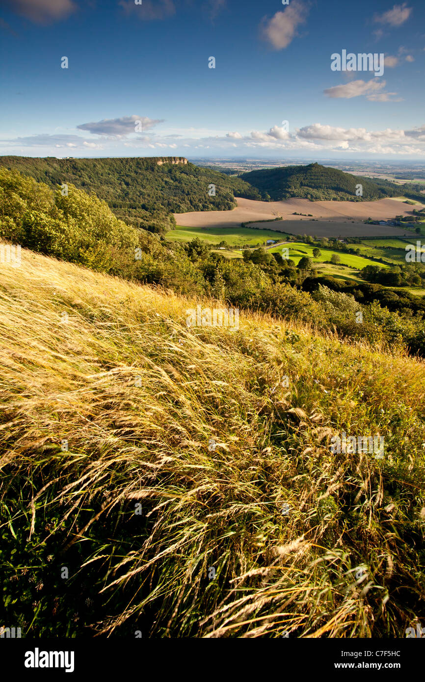 Roulston Scar and Hood Hill, Sutton Bank, North York Moors National ...