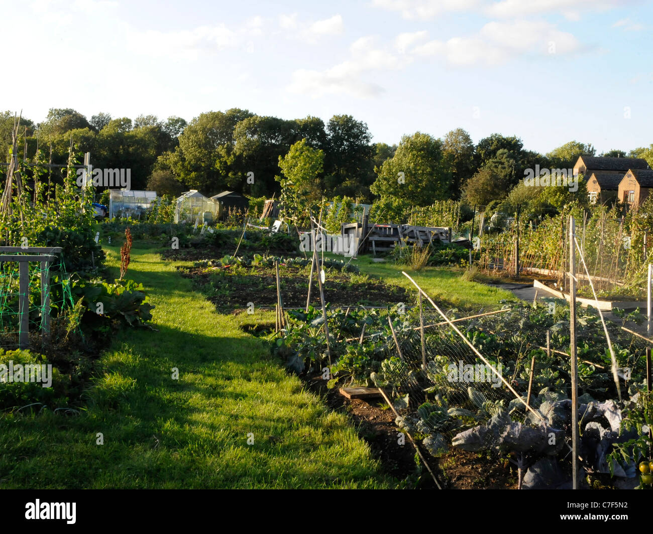 Well tended plot hi-res stock photography and images - Alamy