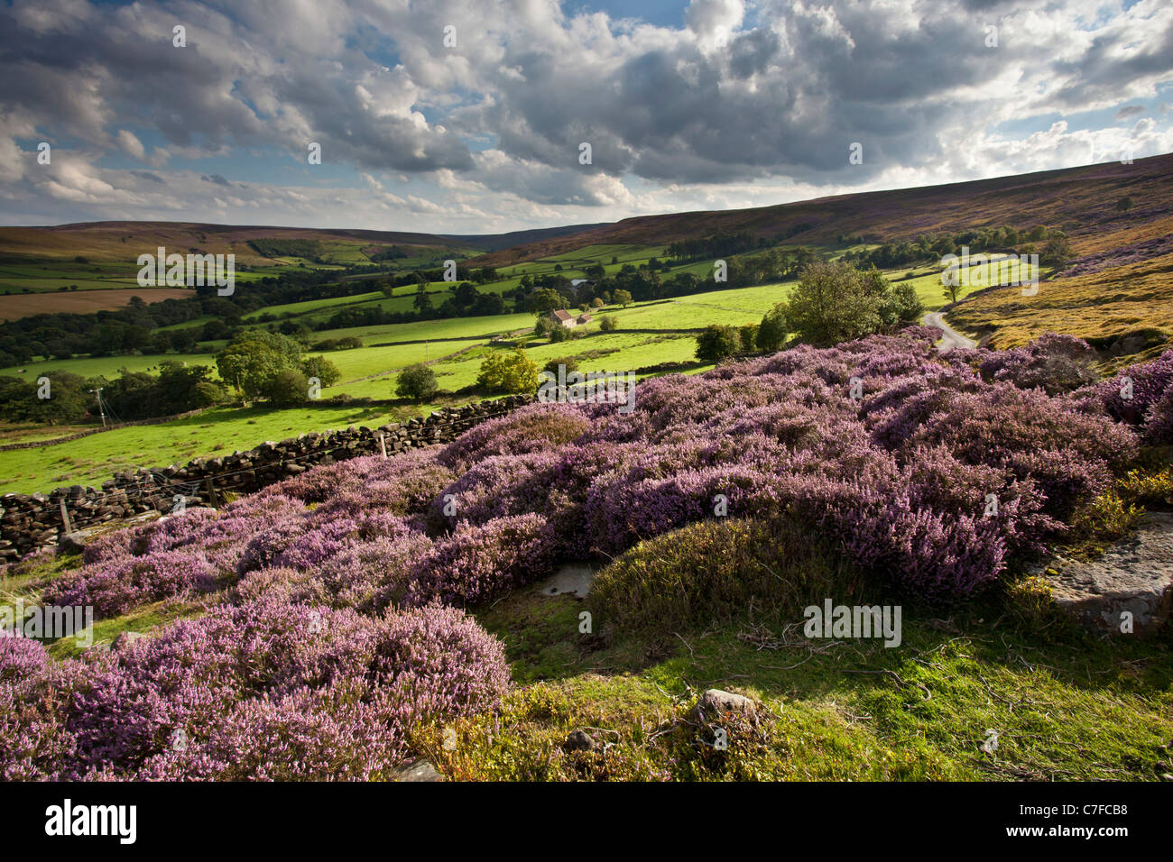 Broody sky over Westerdale, North York Moors National Park Stock Photo ...