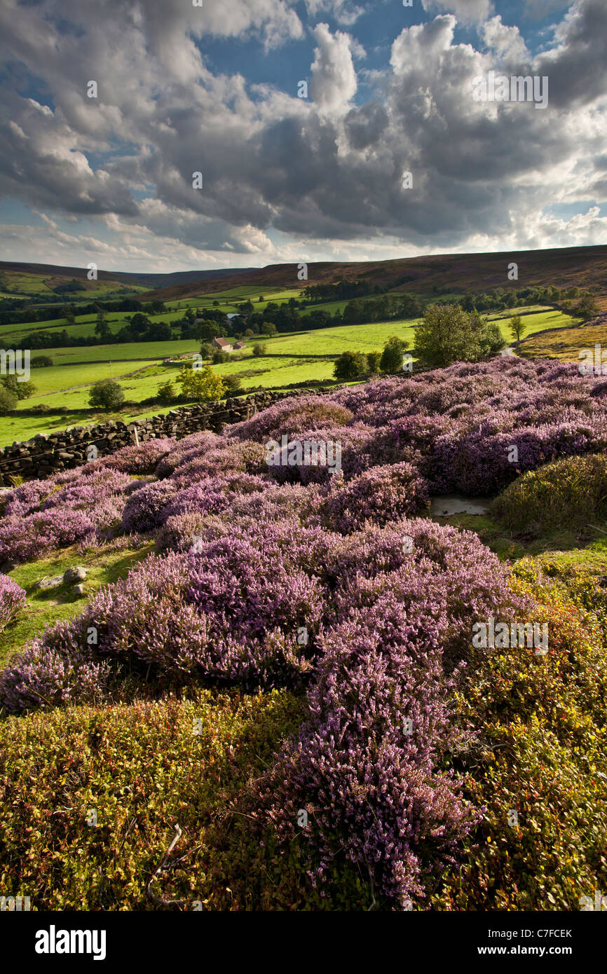 Broody Sky High Resolution Stock Photography and Images - Alamy