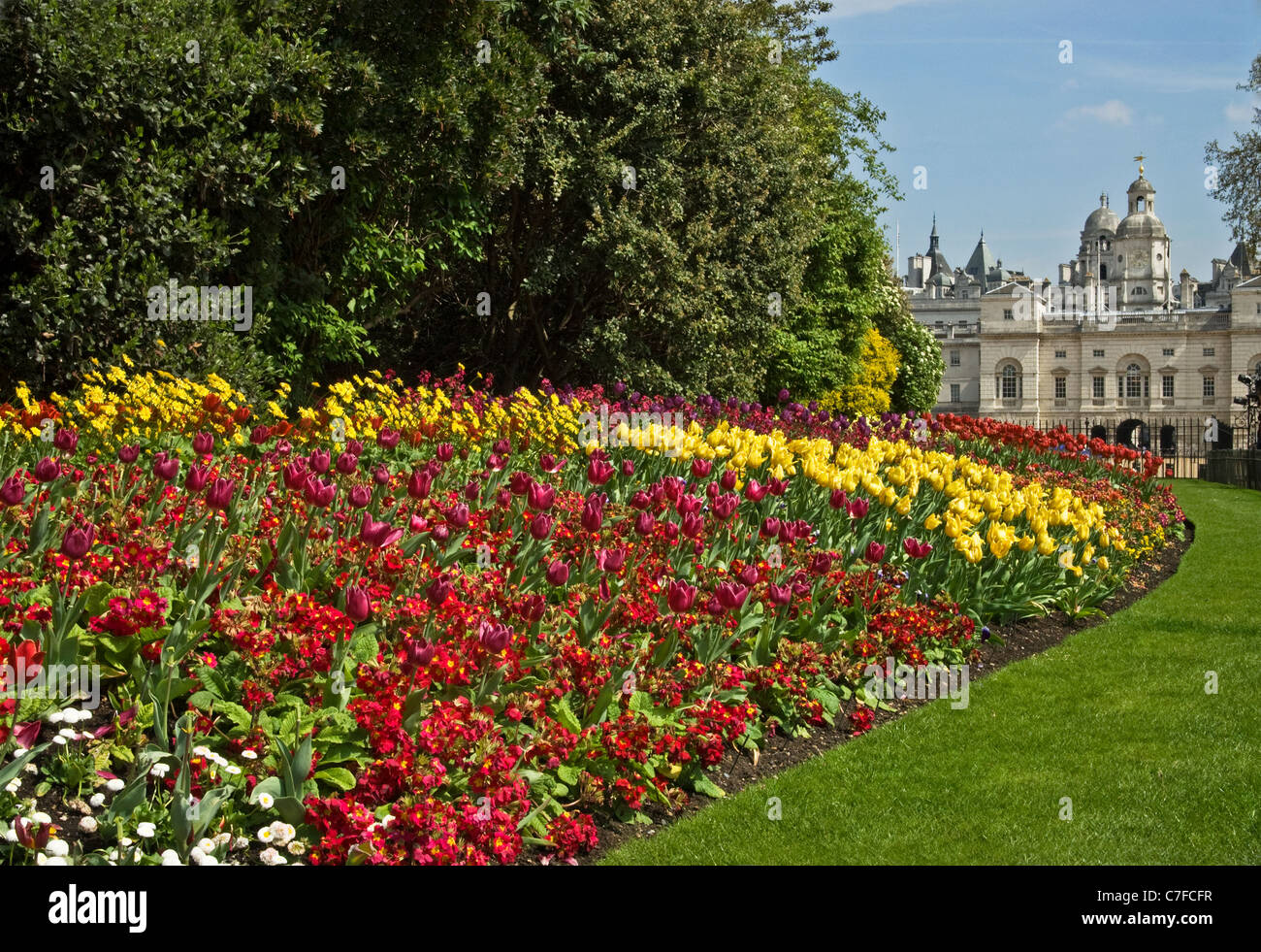 St. James Park, London. Spring flowers, border display Stock Photo - Alamy