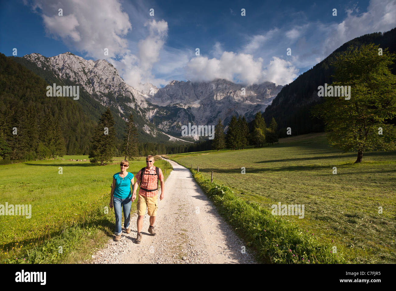 A couple holds hands while walking through an alpine meadow at Jezersko ...