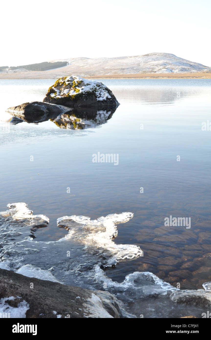 Gamph hi-res stock photography and images - Alamy