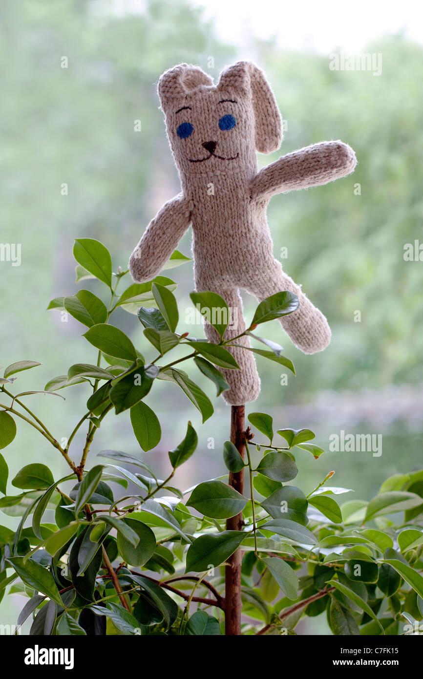 Knitted rabbit acrobat stands on top of a tree Stock Photo - Alamy