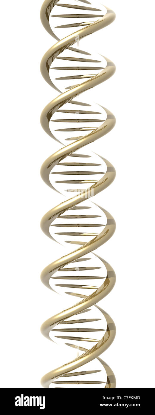 3D rendered double Helix / DNA Stock Photo - Alamy