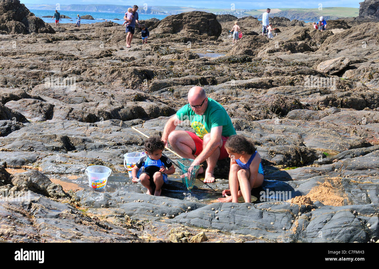 Rock Pooling Children High Resolution Stock Photography and Images - Alamy