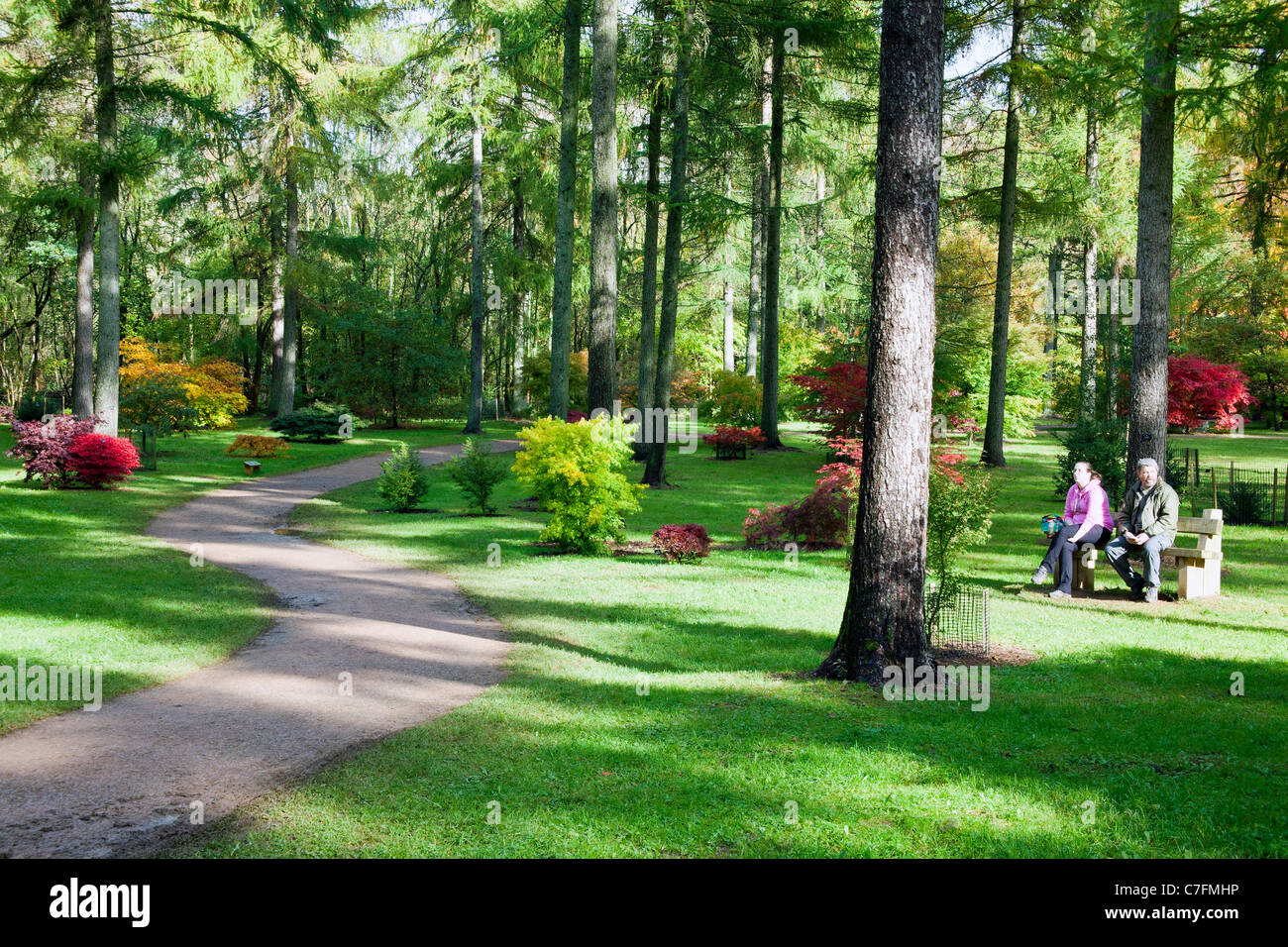 Westonbirt Arboretum Autumn People High Resolution Stock Photography and Images - Alamy