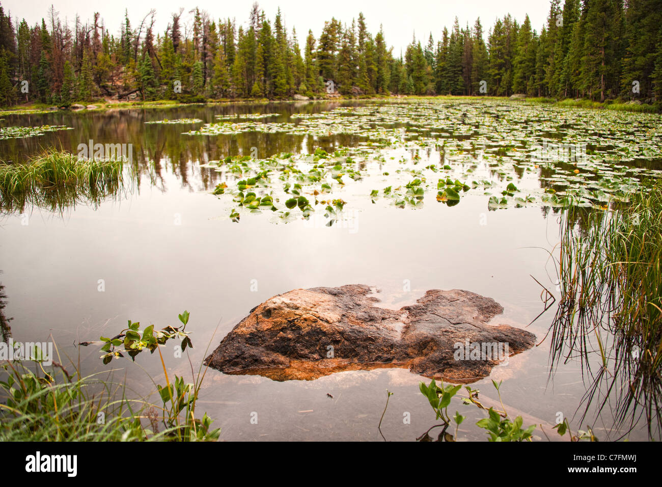 Nymph lake trail hi-res stock photography and images - Alamy