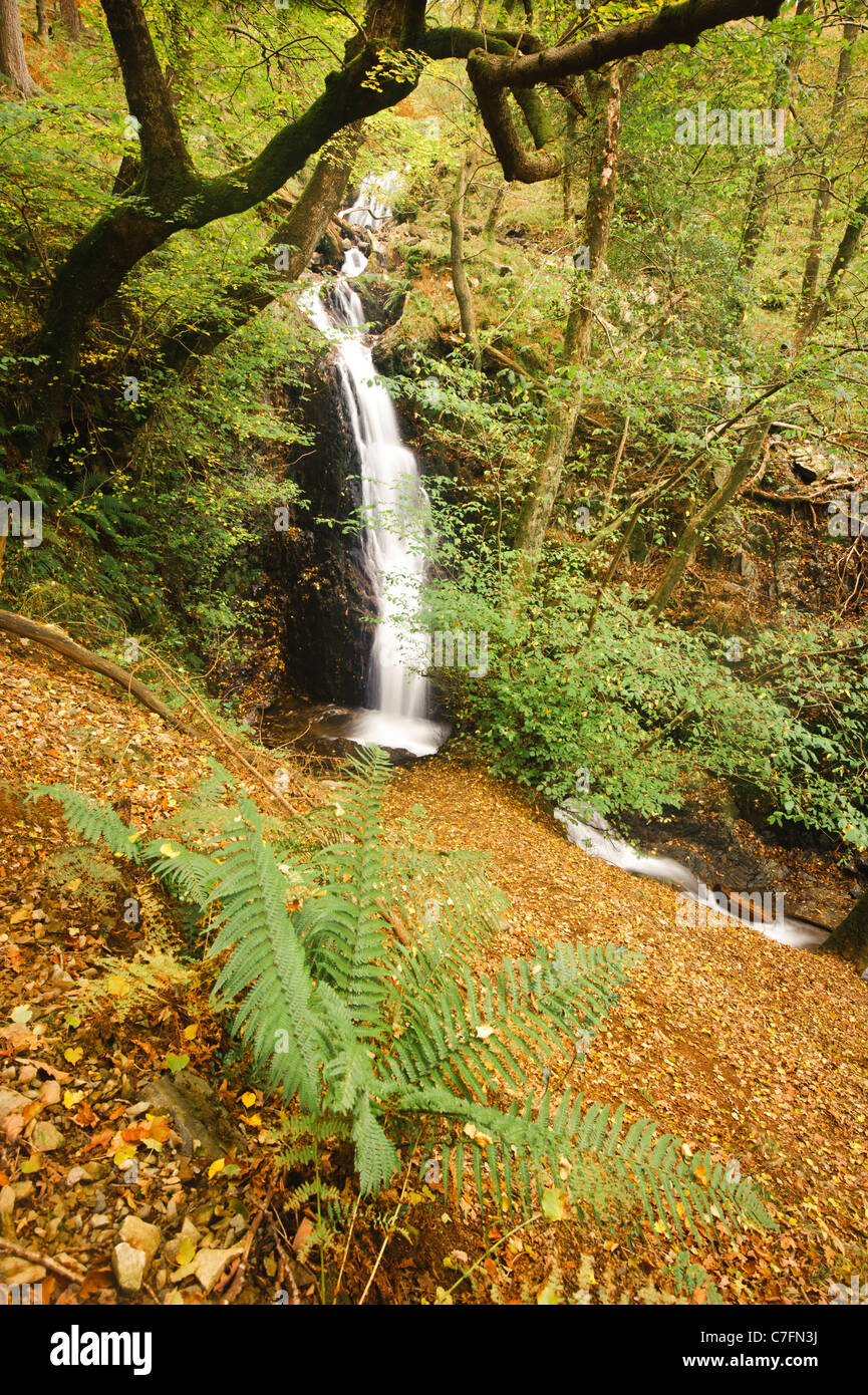 Tom Gill waterfall near Tarn Hows, Lake District, England, UK Stock ...