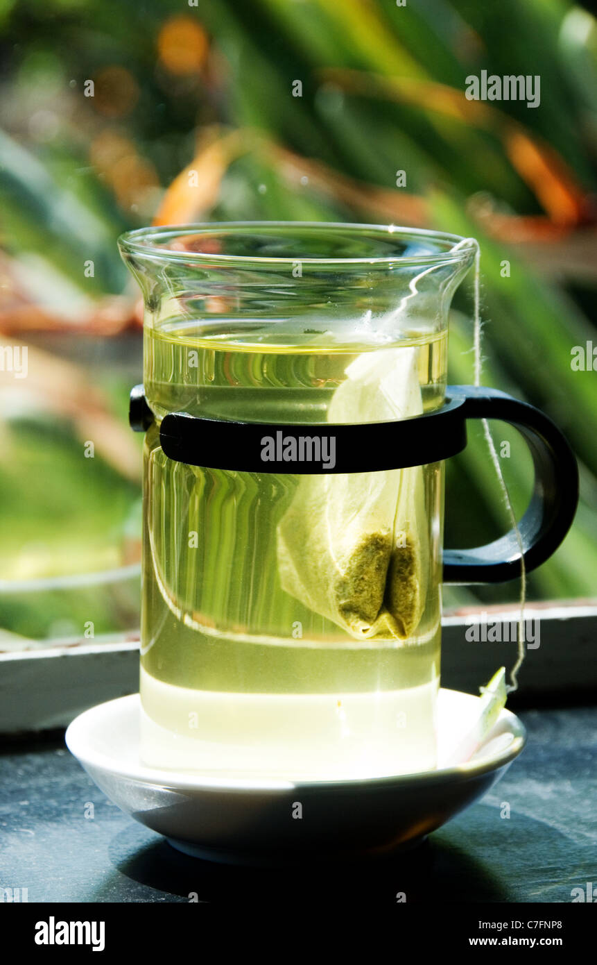 Green tea bag hi-res stock photography and images - Alamy