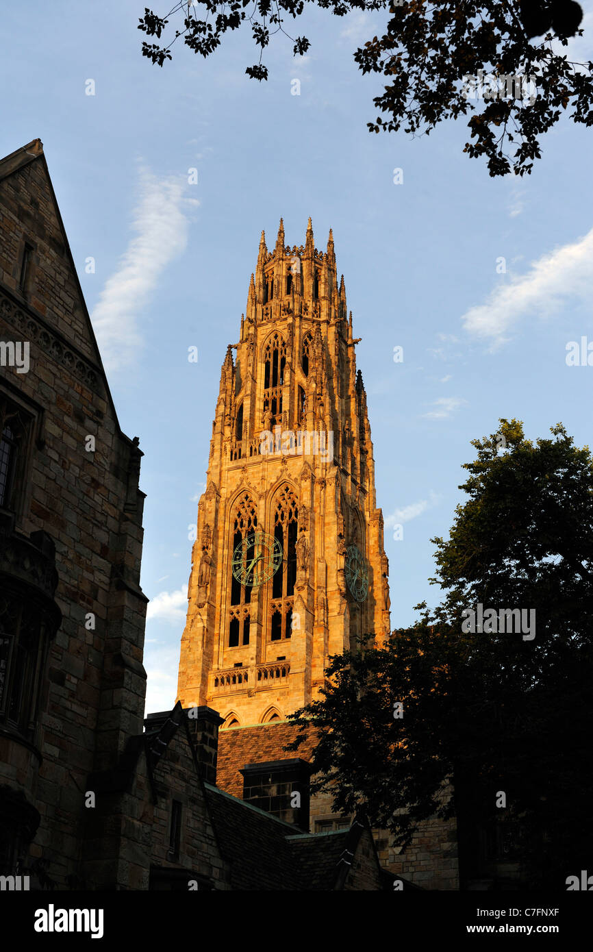 Harkness Tower. Yale University. New Haven, CT Stock Photo - Alamy
