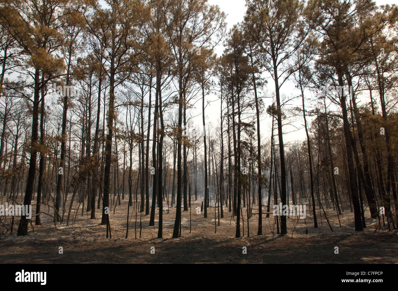 Smoke rises from hotspot hi-res stock photography and images - Alamy