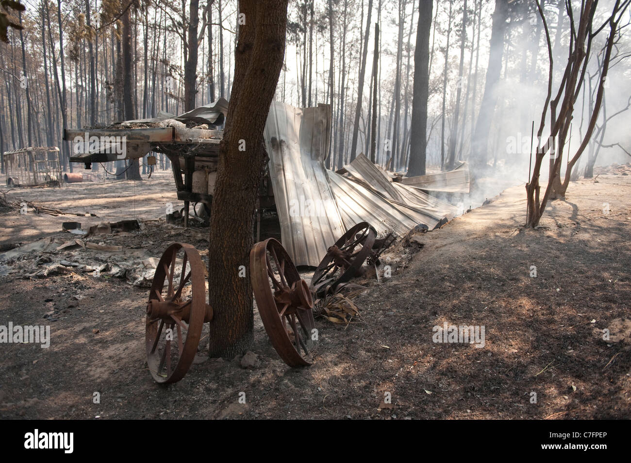 Charred trees and collapsed shed remain after wildfire burned through ...