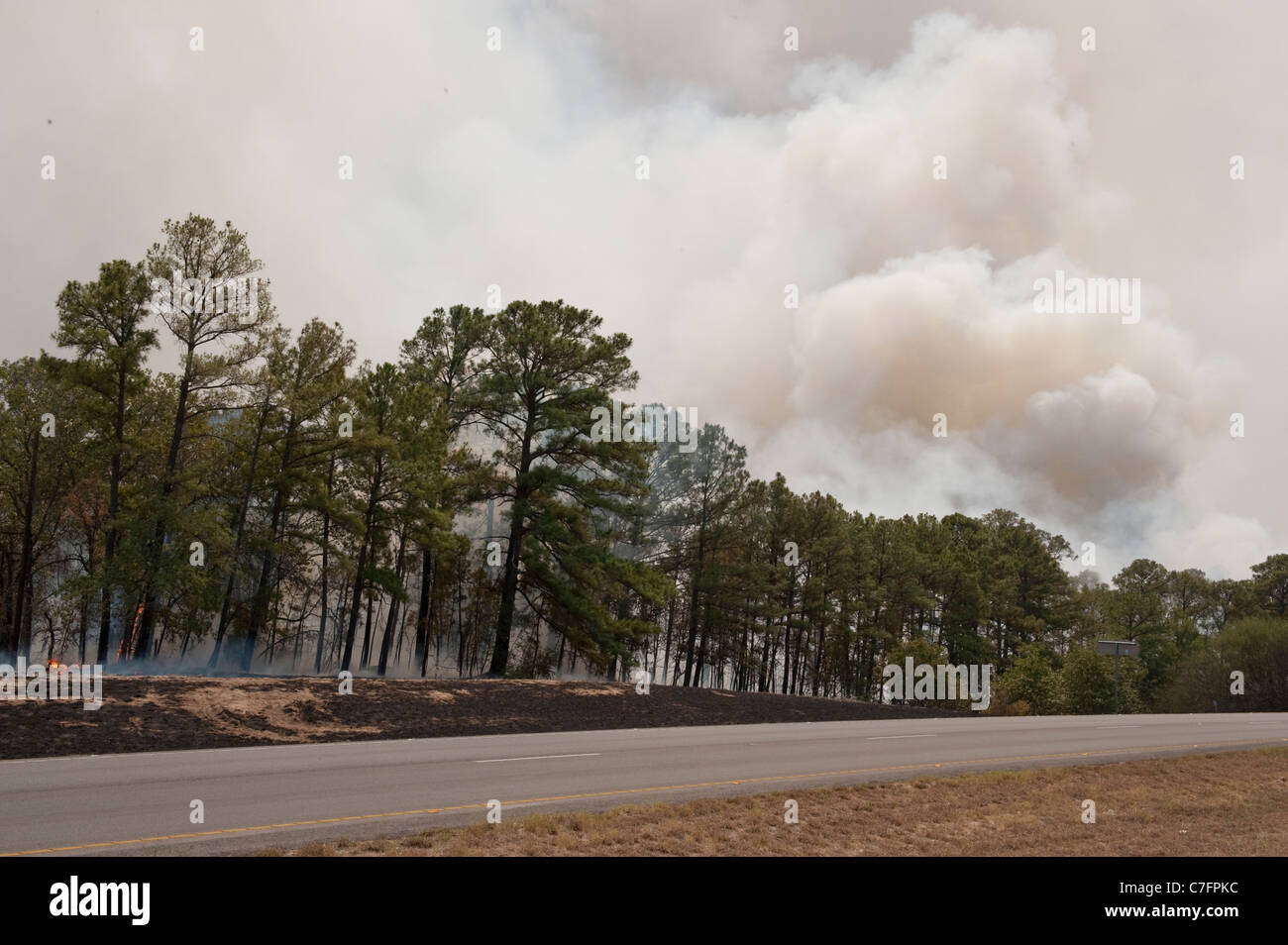 Disaster stricken hi-res stock photography and images - Alamy