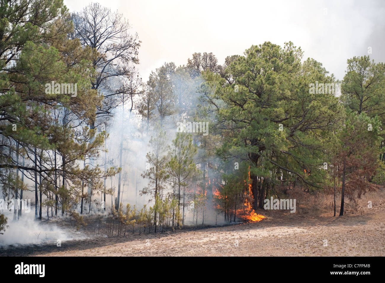 Disaster stricken hi-res stock photography and images - Alamy