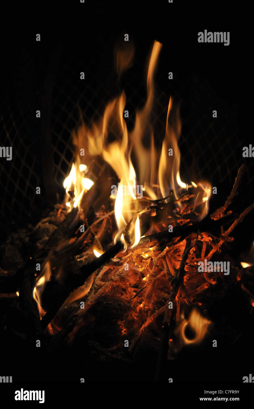 Summer evening barbecue bonfire Stock Photo - Alamy