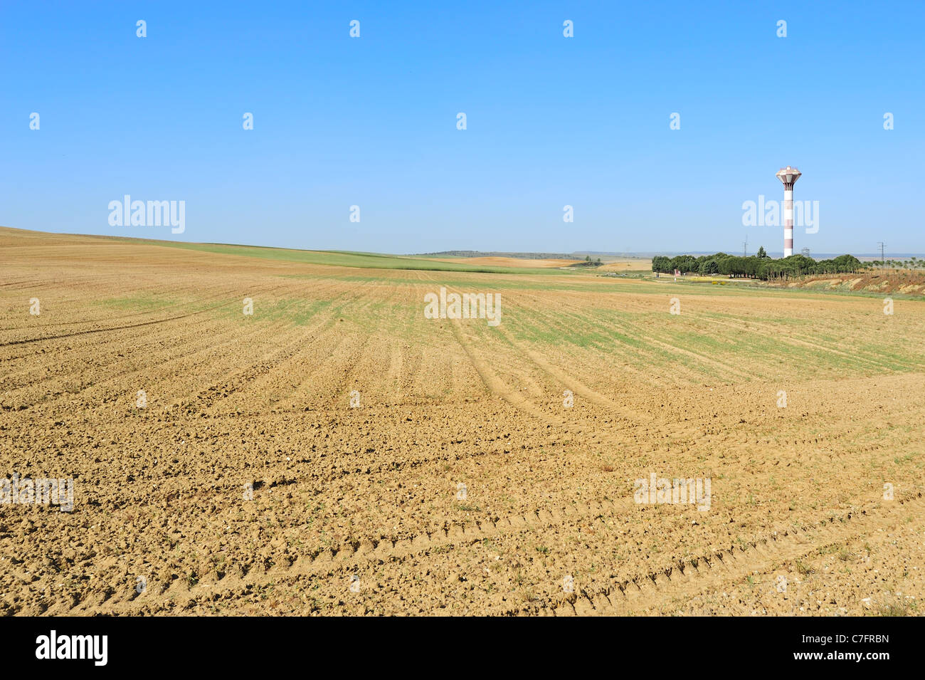 cultivated field with rows of ground in the summer Stock Photo - Alamy