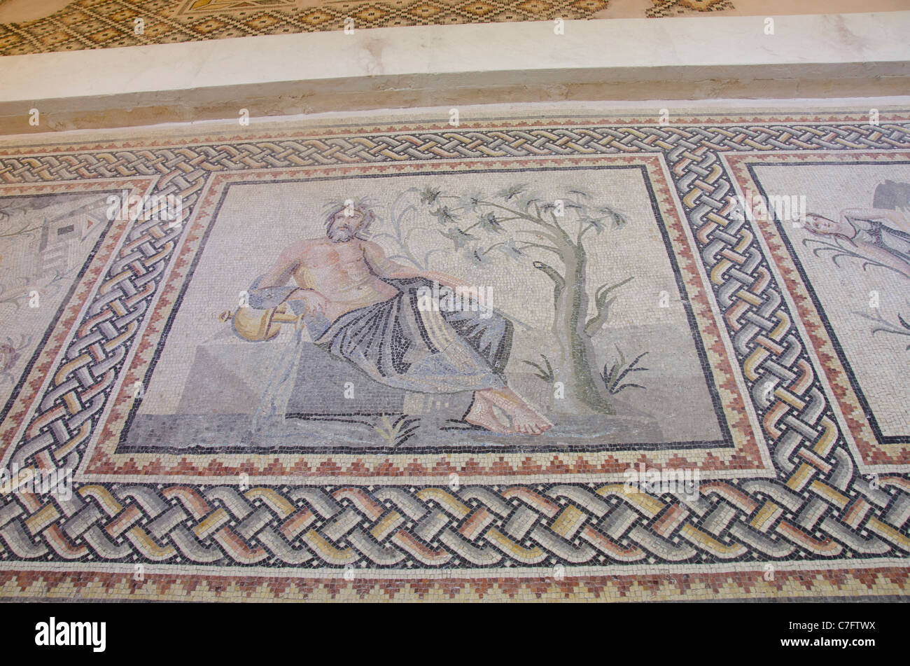 Turkey, Southeastern Anatolia, Gaziantep. Zeugma Mosaic Museum Stock ...