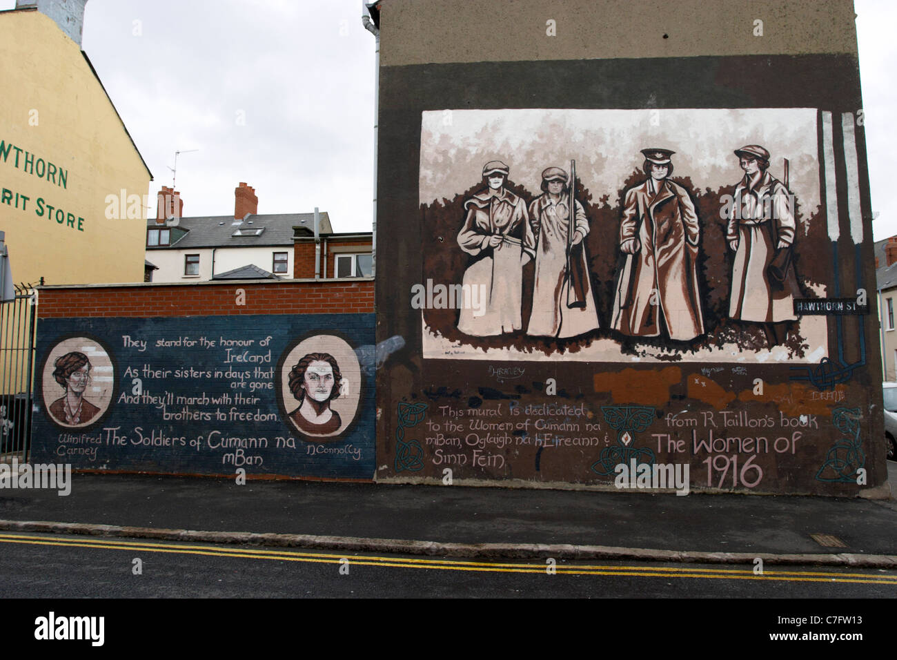 soldiers of cumann na mban womens ira republican wall mural painting ...