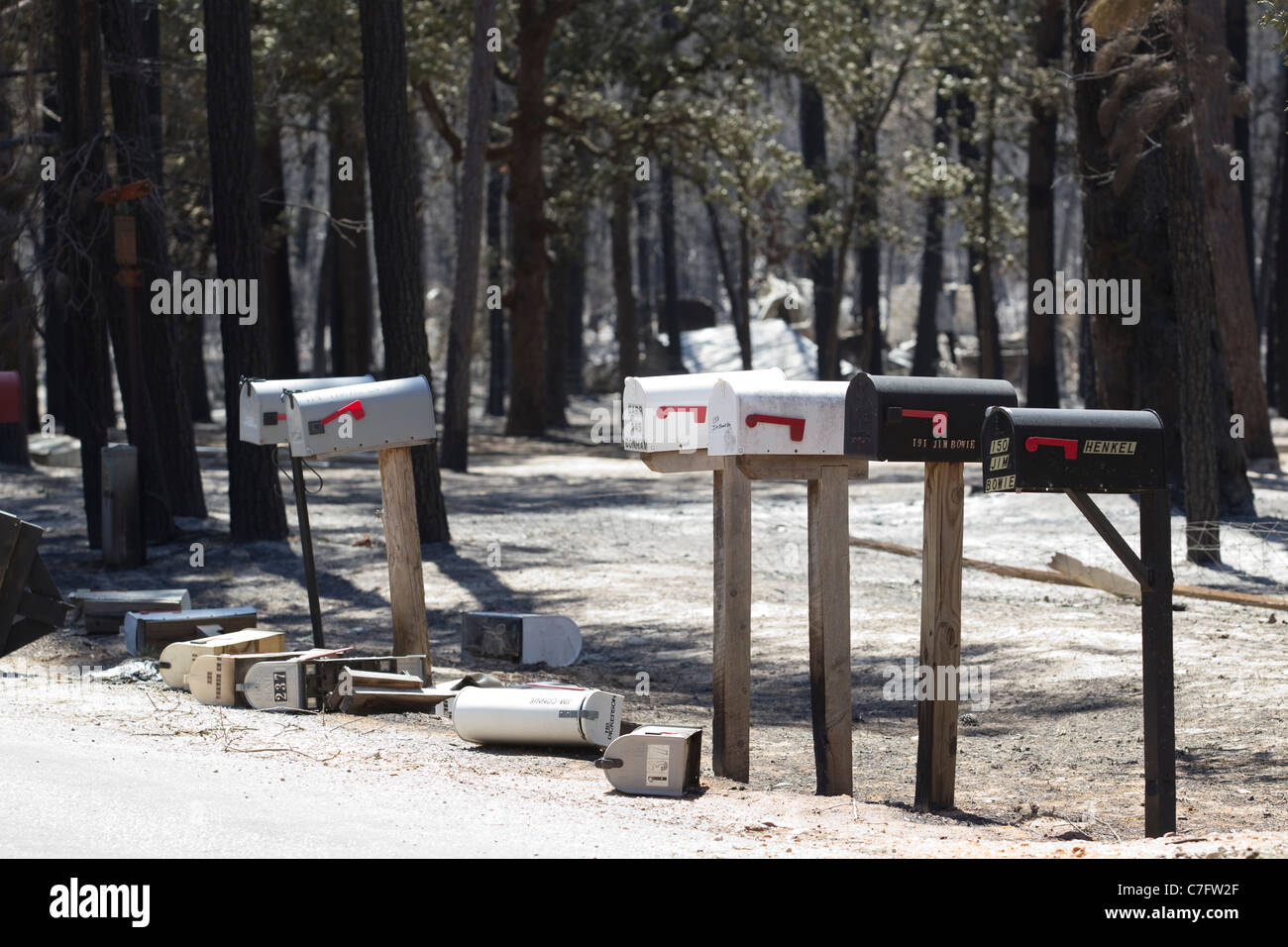 A row of damaged and intact mailboxes shows the aftermath of wildfire ...